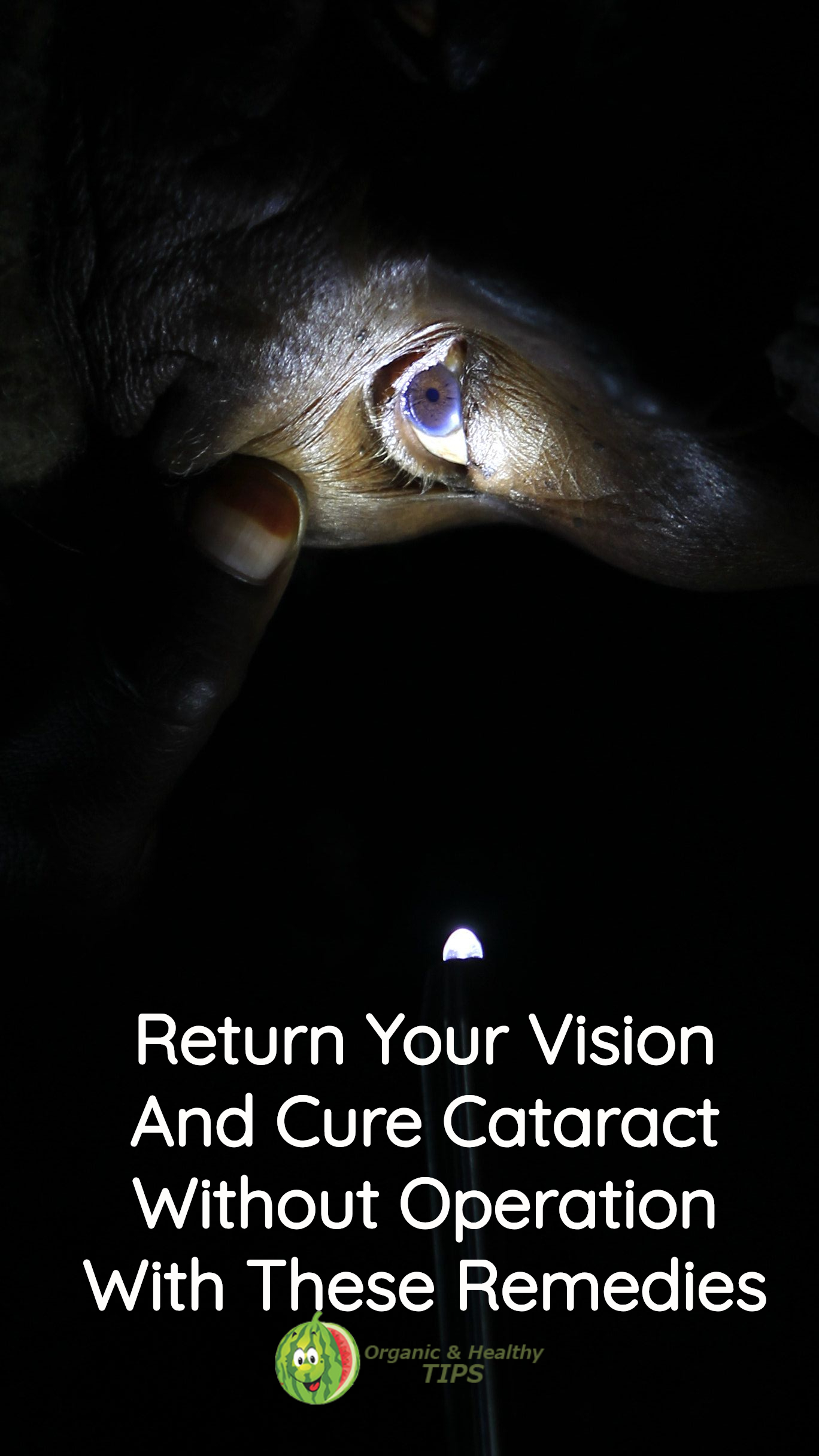 Return Your Vision And Cure Cataract Without Operation With These ...